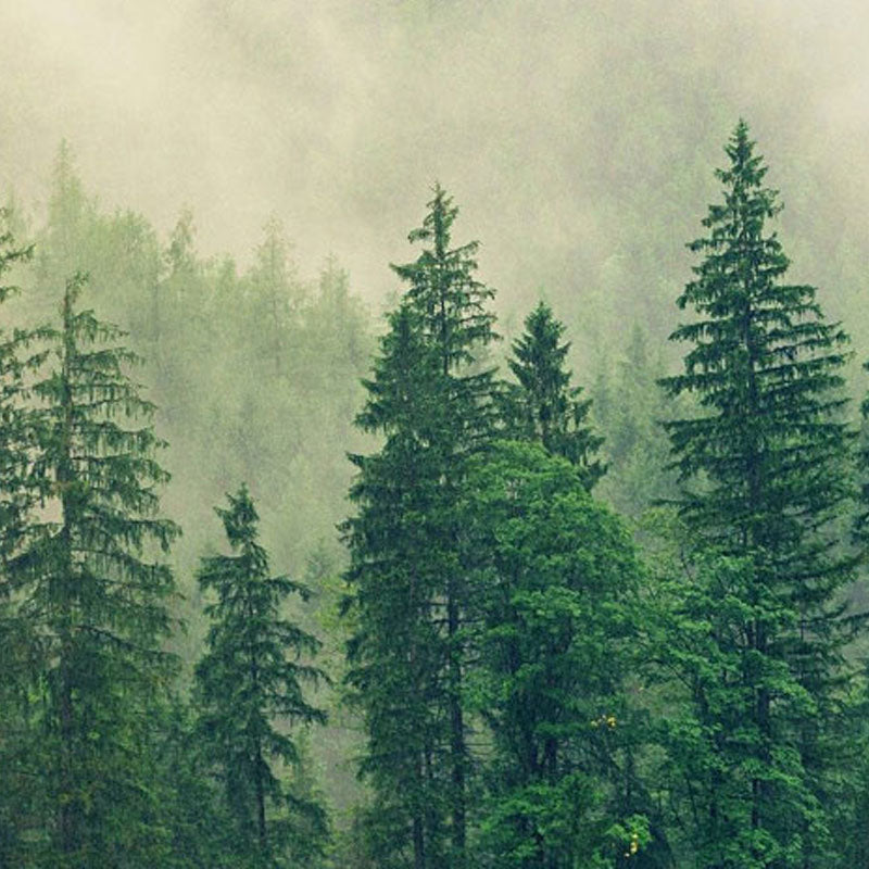 About – Beckmann Norway